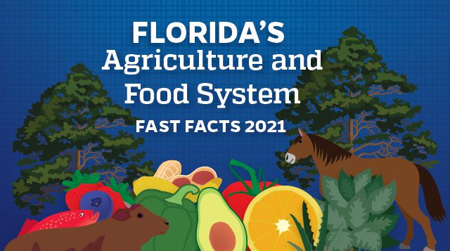 GRAPHIC DESIGN SERVICES - IFAS Communications - University of Florida ...