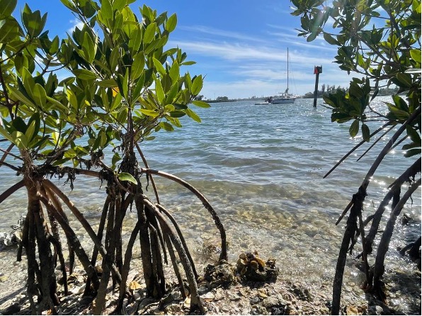 ClimateCast Live: Digital Field Experiences with UF/IFAS Extension - UF/IFAS Agricultural ...