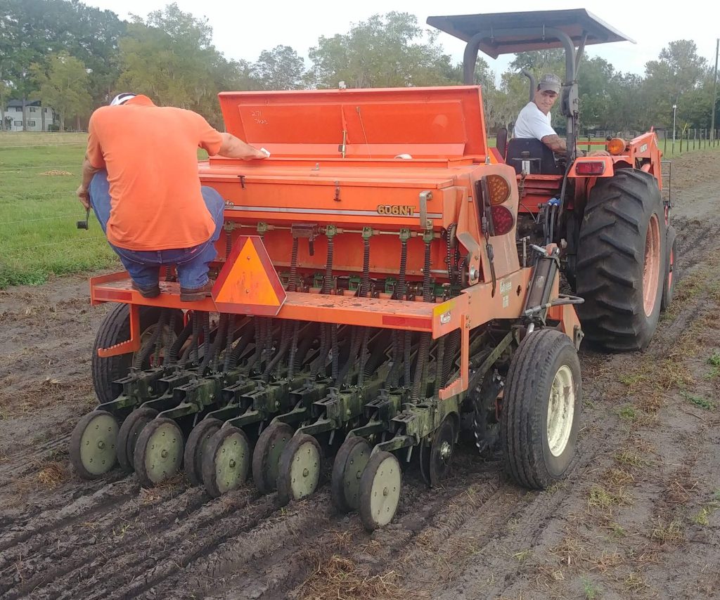 Establishing Cool Season Forages Can Help Provide Grazing Options When ...