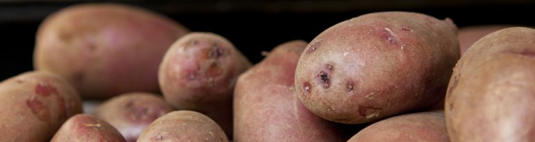 The Power of Spuds - UF/IFAS Extension Alachua County