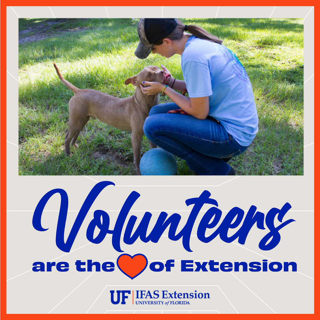Volunteers are the Heart of Extension