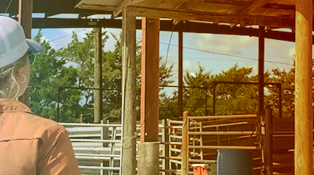 UF/IFAS Animal Sciences - University of Florida, Institute of Food and ...