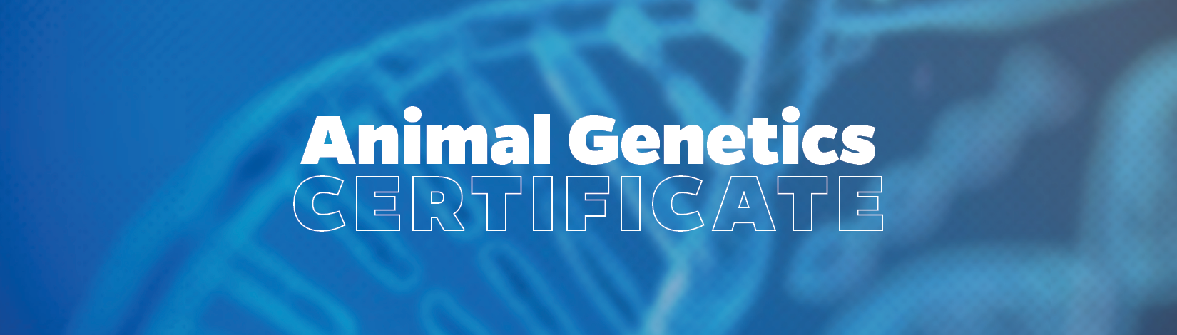 Opening New Opportunities with a Certificate in Animal Genetics