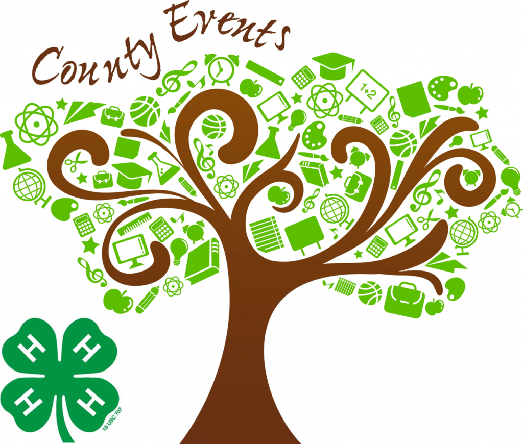 County Events Series: How to Do a 4-H Demonstration or Illustrated Talk ...