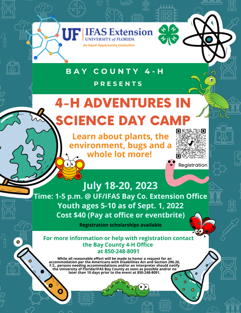 Bay County 4-H Camps are in full swing! - UF/IFAS Extension Bay County