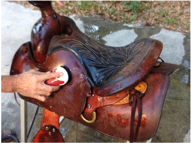 Saddle and Tack Care in Florida - UF/IFAS Extension Bradford County