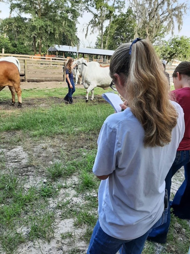 Life Skills Learned by 4-H Judging Teams - UF/IFAS Extension Bradford ...