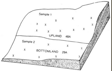 Pasture Management: Importance of Soil Sampling - UF/IFAS Extension ...