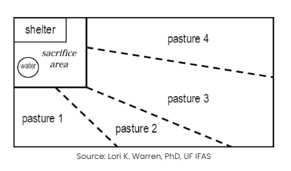 Grazing Management Strategies for Your Livestock Pastures - UF/IFAS ...