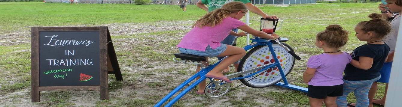 Farmers in Training: Teaching Agricultural & Nutritional Awareness to ...