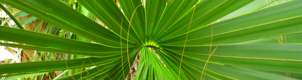 UF/IFAS Extension Brevard County