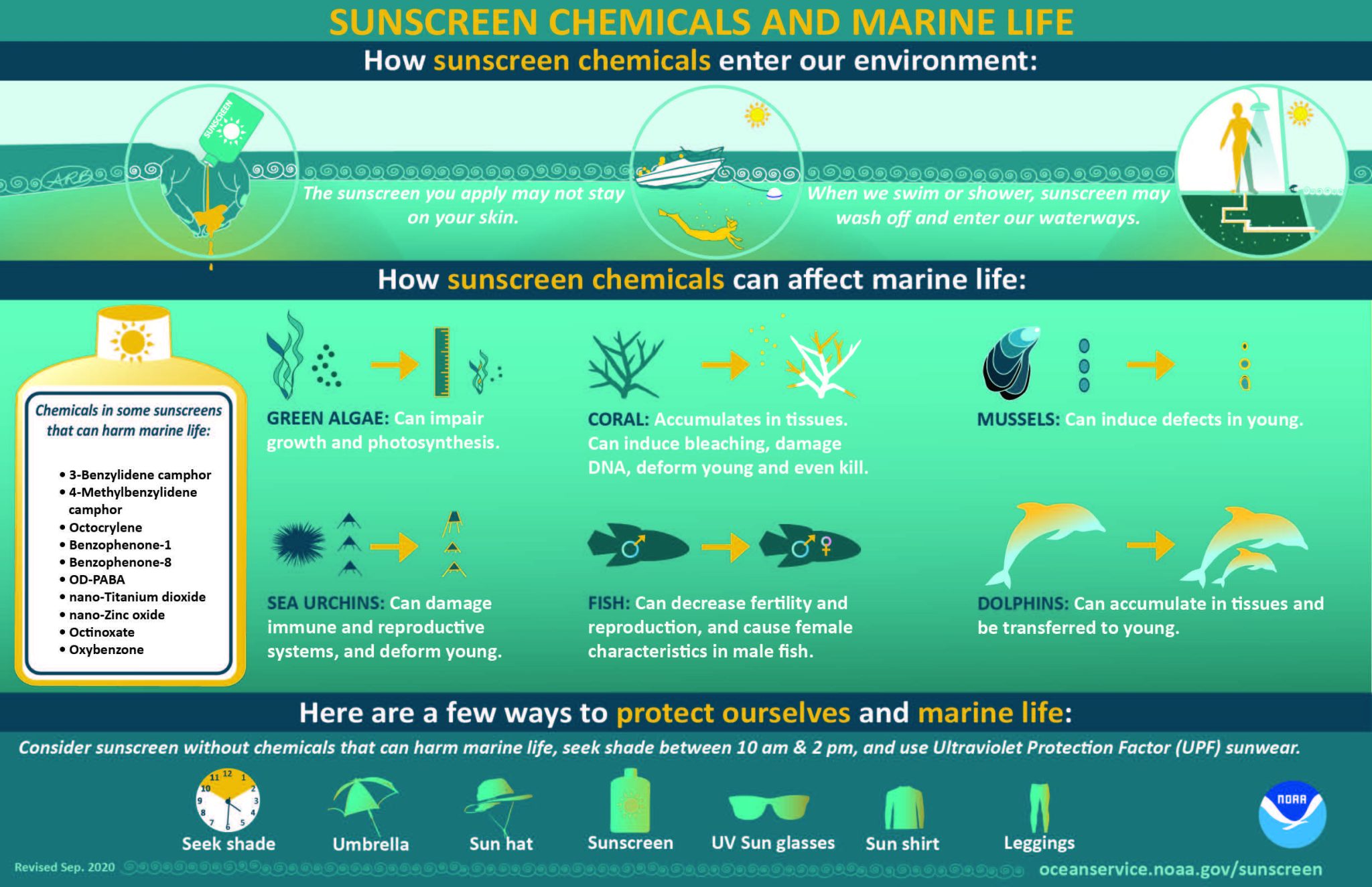 Celebrating Coral Reef Awareness Week - UF/IFAS Extension Brevard County