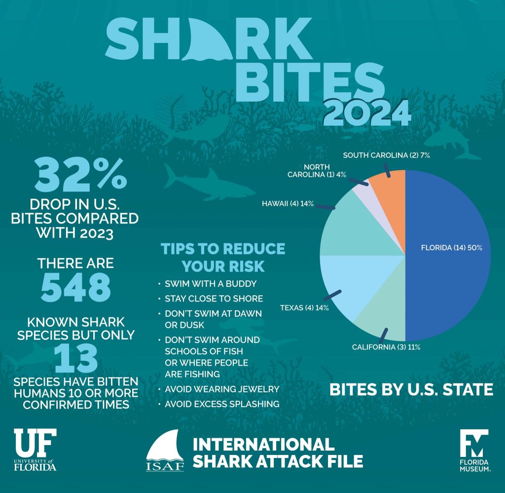 Don't Fear the Fins: Spread Shark Awareness - UF/IFAS Extension Brevard ...