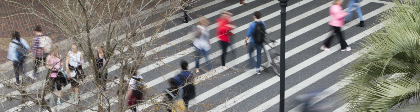 What is UF/IFAS Extension Broward County Family and Consumer Sciences ...