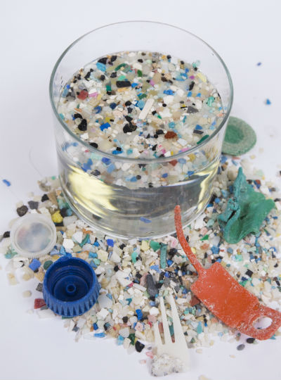 Microplastic Awareness Matters-From Your Kitchen to the Ocean - UF/IFAS ...