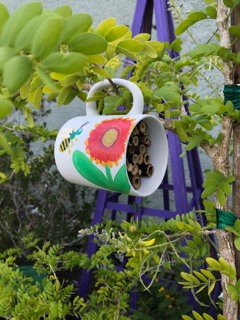 4-H Bug Camp - UF/IFAS Extension Broward County