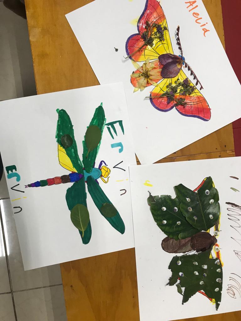 Use art to learn about insects - UF/IFAS Extension Broward County