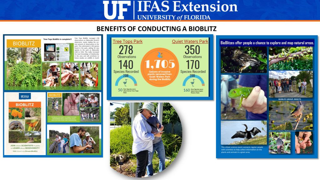 Benefits of Conducting a BioBlitz - UF/IFAS Extension Broward County