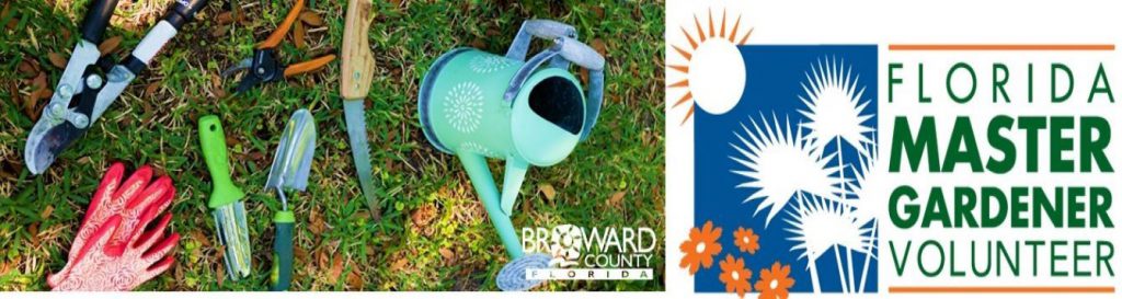 Invasive Species Archives - UF/IFAS Extension Broward County