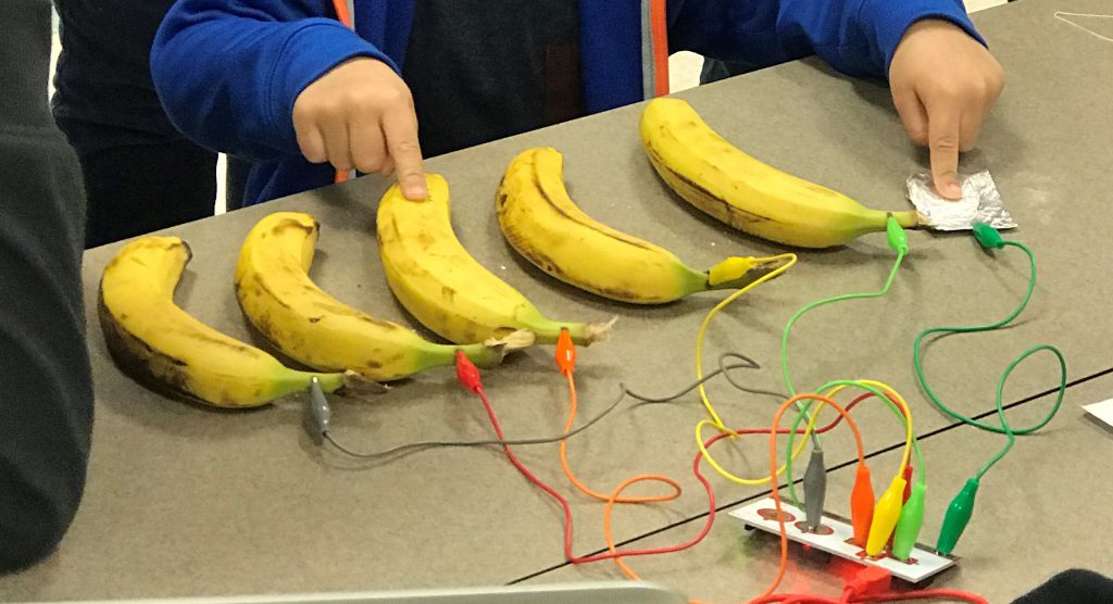 4-H Clubs Show Their Community Pride - UF/IFAS Extension Broward County