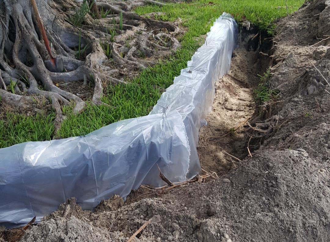 How to Root Prune and Transplant Field Grown Trees and Shrubs - UF/IFAS ...