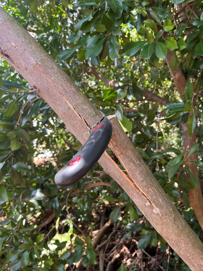 It's Easy as One, Two, Three. (So, Don't Do This To Your Trees!) - UF ...