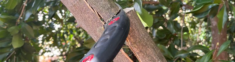 Natural Resources Archives - UF/IFAS Extension Broward County