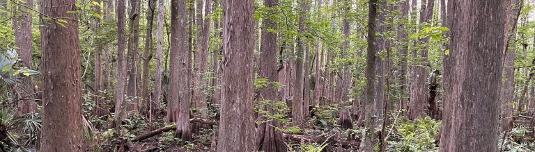 UF/IFAS Extension Broward County