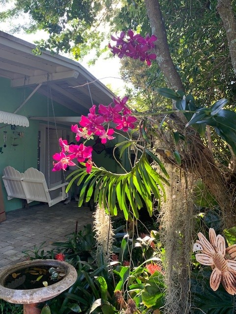 How to Grow a Forest - My 25 Year Experiment - UF/IFAS Extension ...