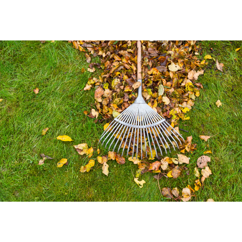 Heat, Hydration, and Dehydration: Fire Safety and Preparedness - UF ...