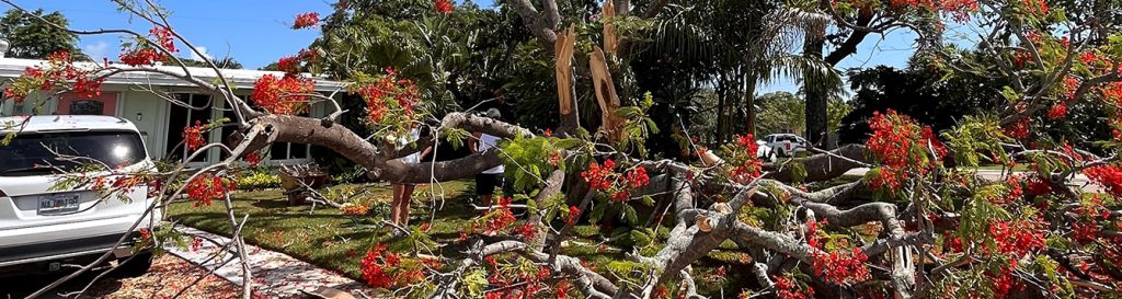 UF/IFAS Extension Broward County