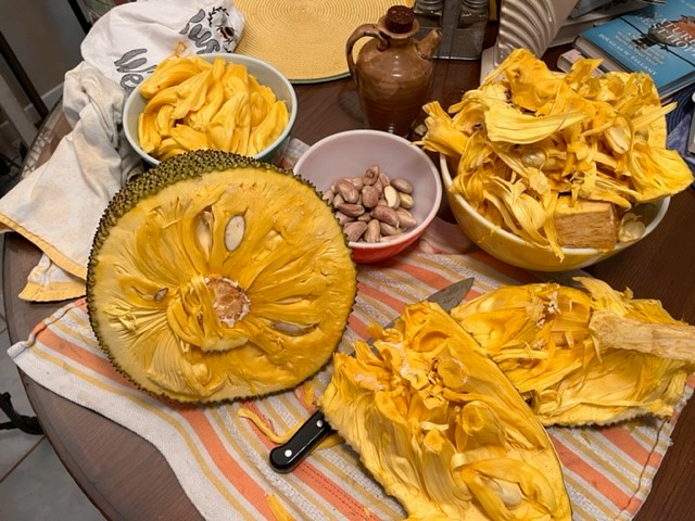 How to Harvest a Jackfruit - Extra Mile Pest Control and Lawn Solution