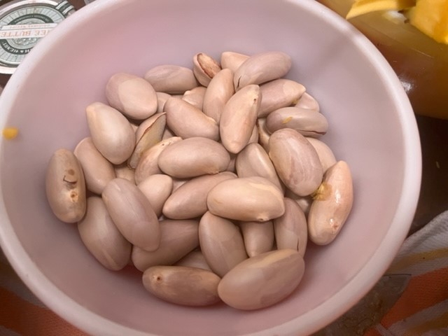 How to Harvest a Jackfruit - Extra Mile Pest Control and Lawn Solution