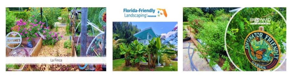 UF/IFAS Extension Broward County