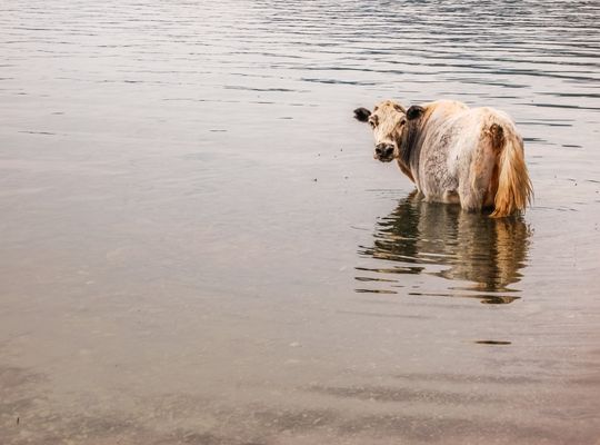 Broward Extension Shares Resources for Mitigating Historic Flooding ...