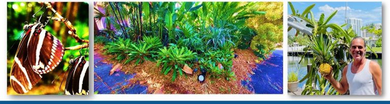 UF/IFAS Extension Broward County