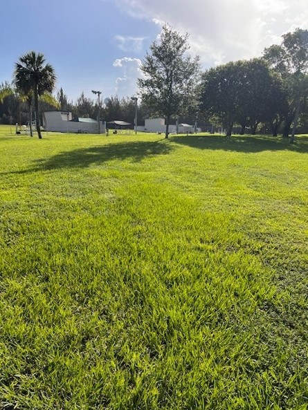 The Time for Mixed Mowable Species has Come - UF/IFAS Extension Broward ...