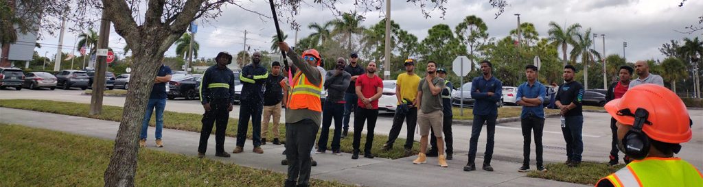 UF/IFAS Extension Broward County