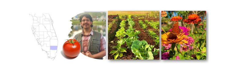 UF/IFAS Extension Broward County