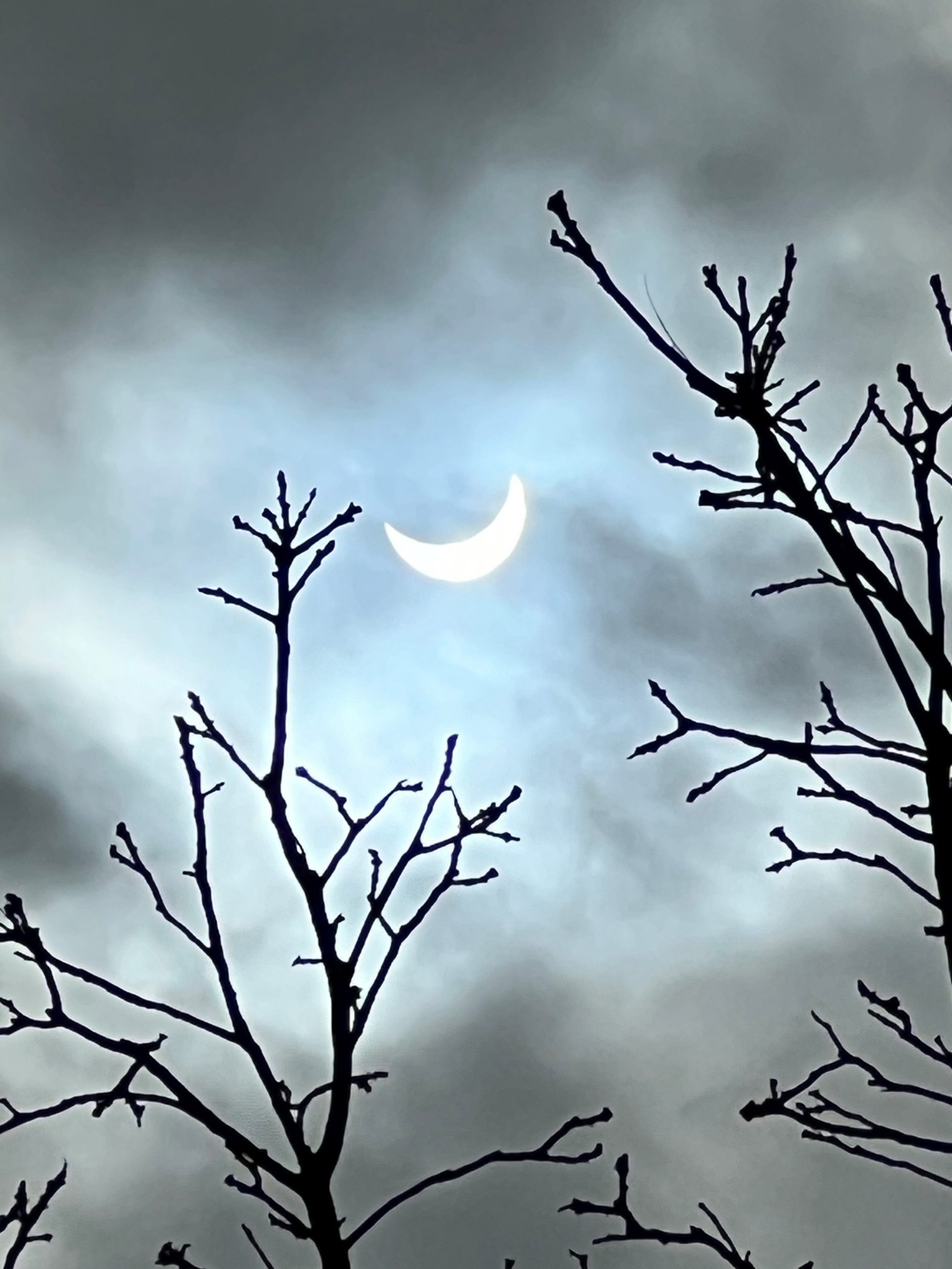 Trees Change Climate - UF/IFAS Extension Broward County