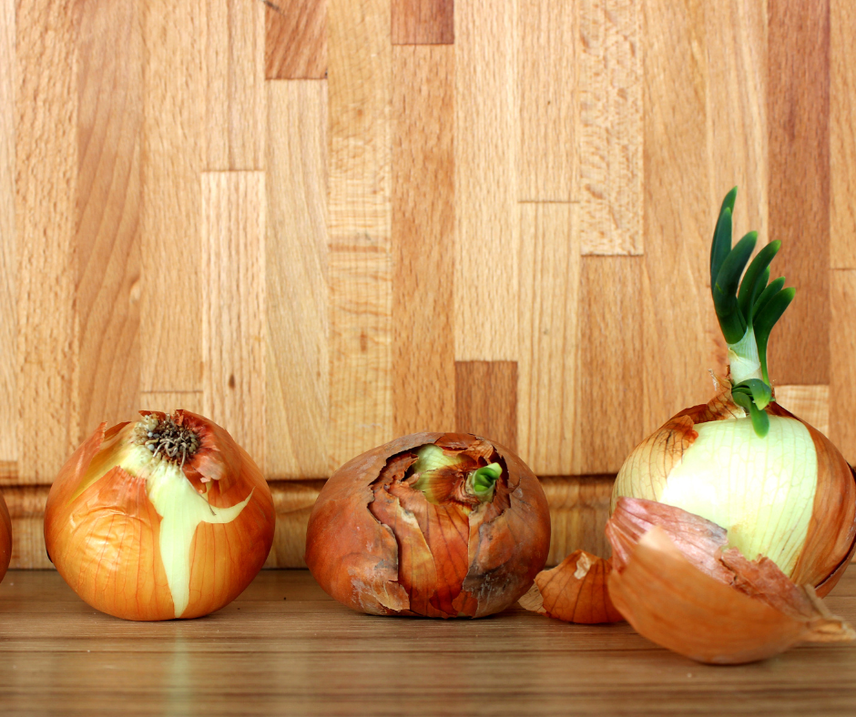 Onions! Onions! Onions! - UF/IFAS Extension Broward County