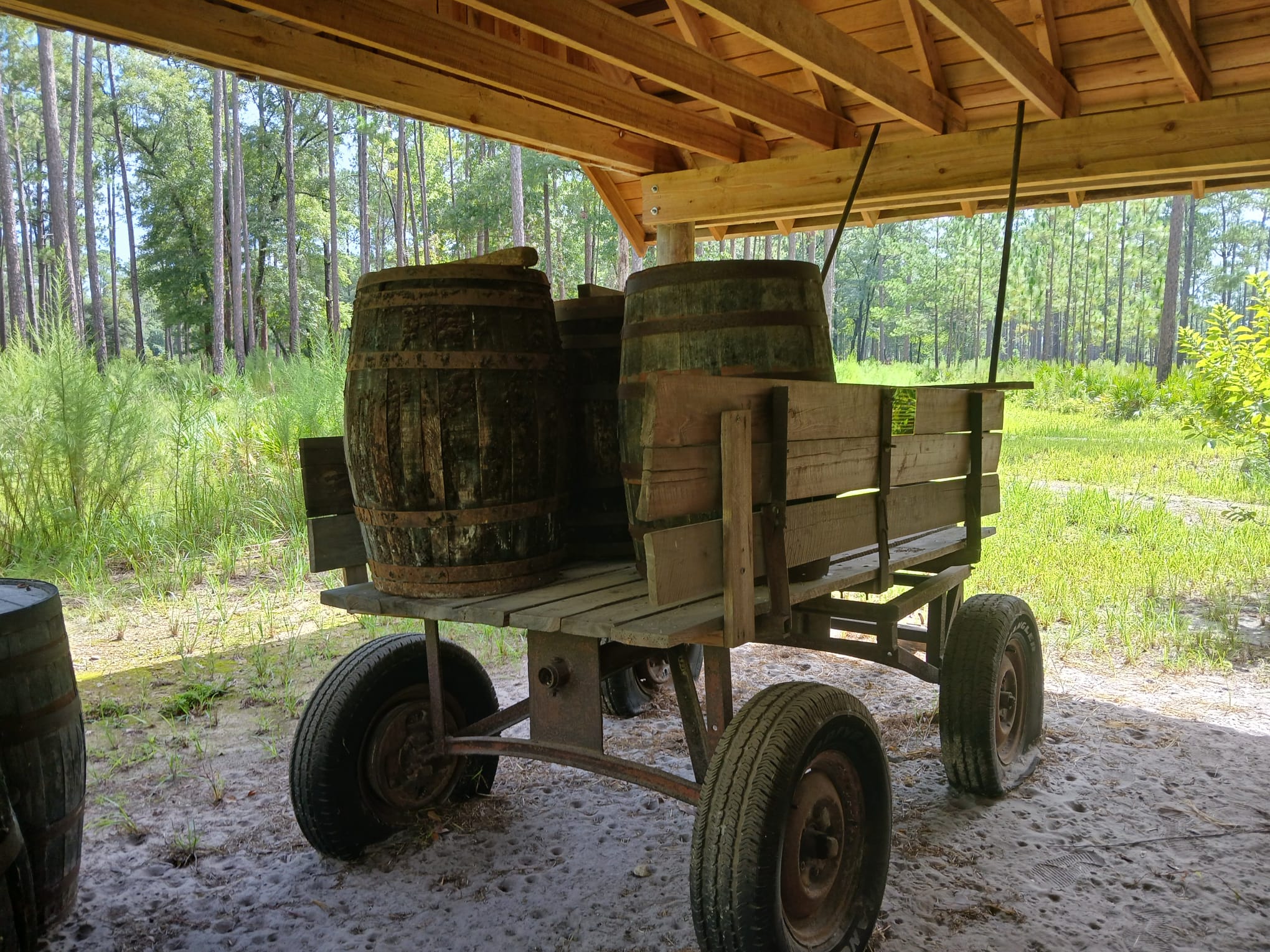 Discovering Austin Cary Forest and its Turpentine Still - UF/IFAS ...