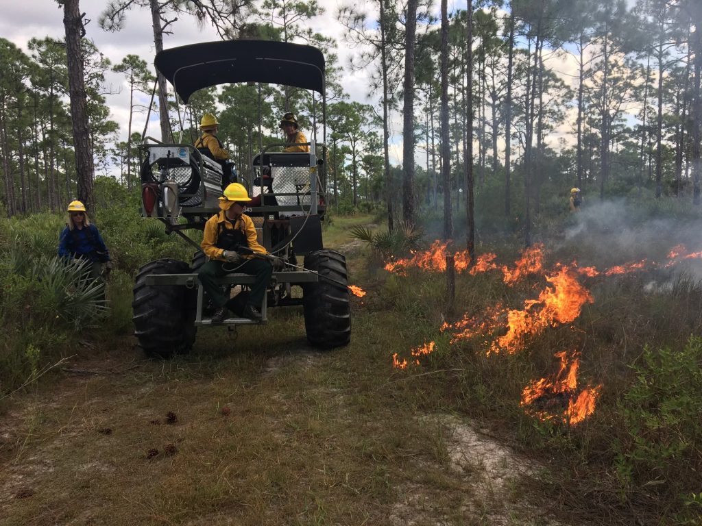 THE FLORIDA FOREST SERVICE – A Mission to Fight Wildfires and Protect ...
