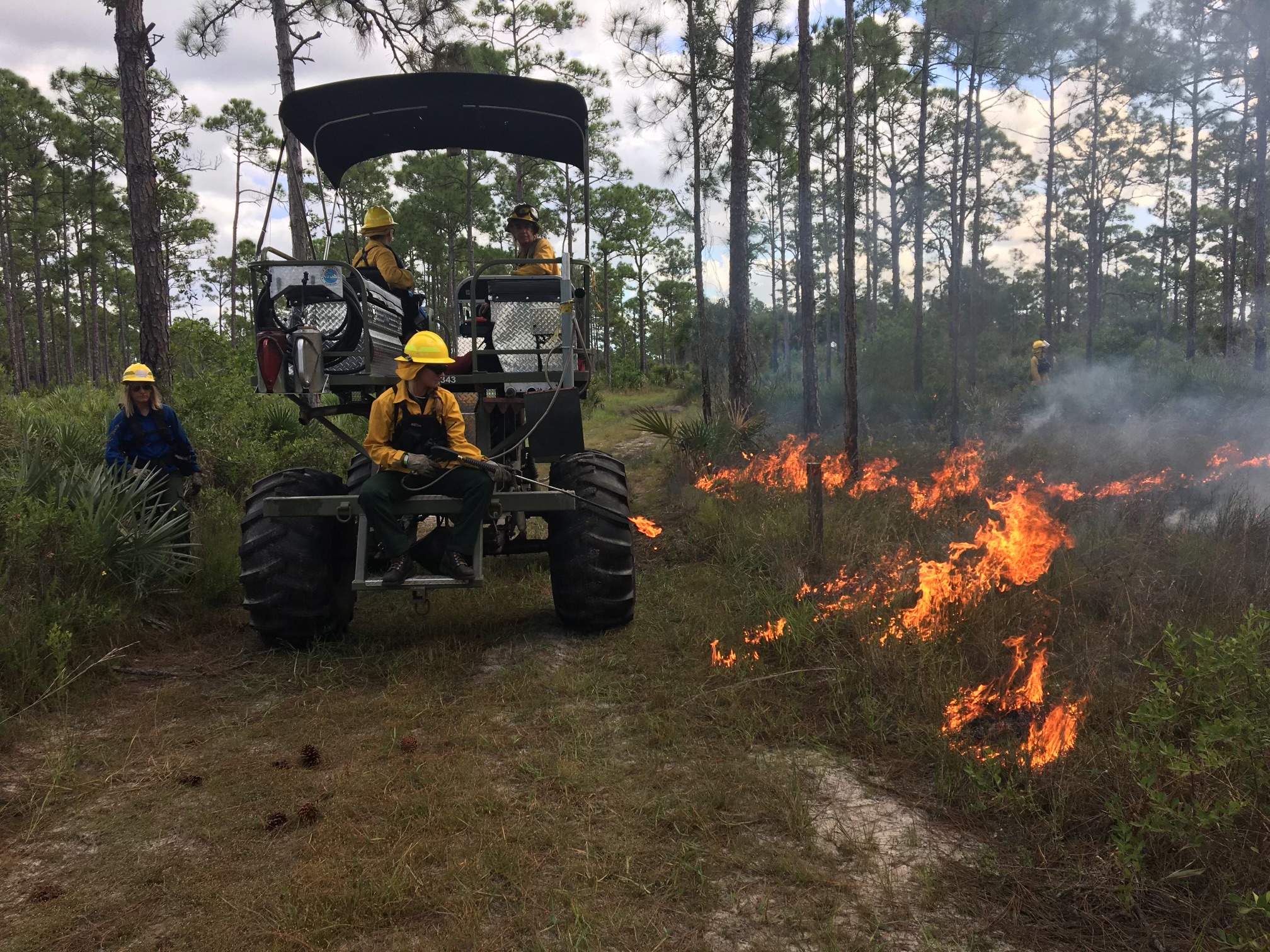 THE FLORIDA FOREST SERVICE – A Mission to Fight Wildfires and Protect ...