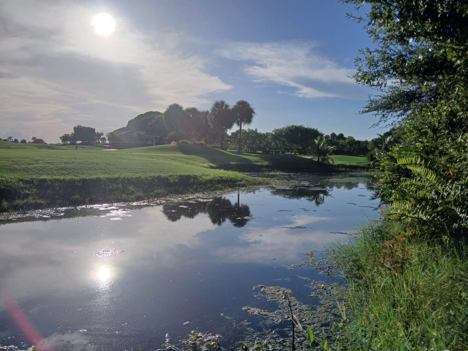 Discovering Broward County Natural Areas Series: Episode 1. The Linear ...