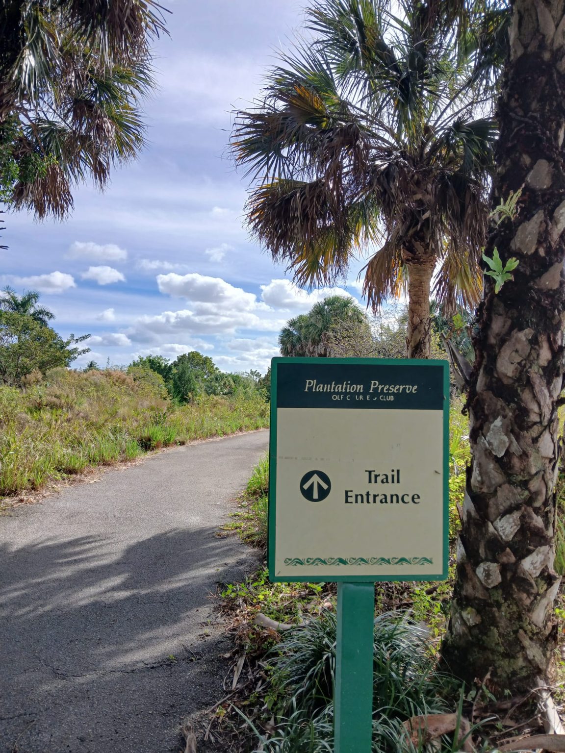 Discovering Broward County Natural Areas Series: Episode 1. The Linear ...