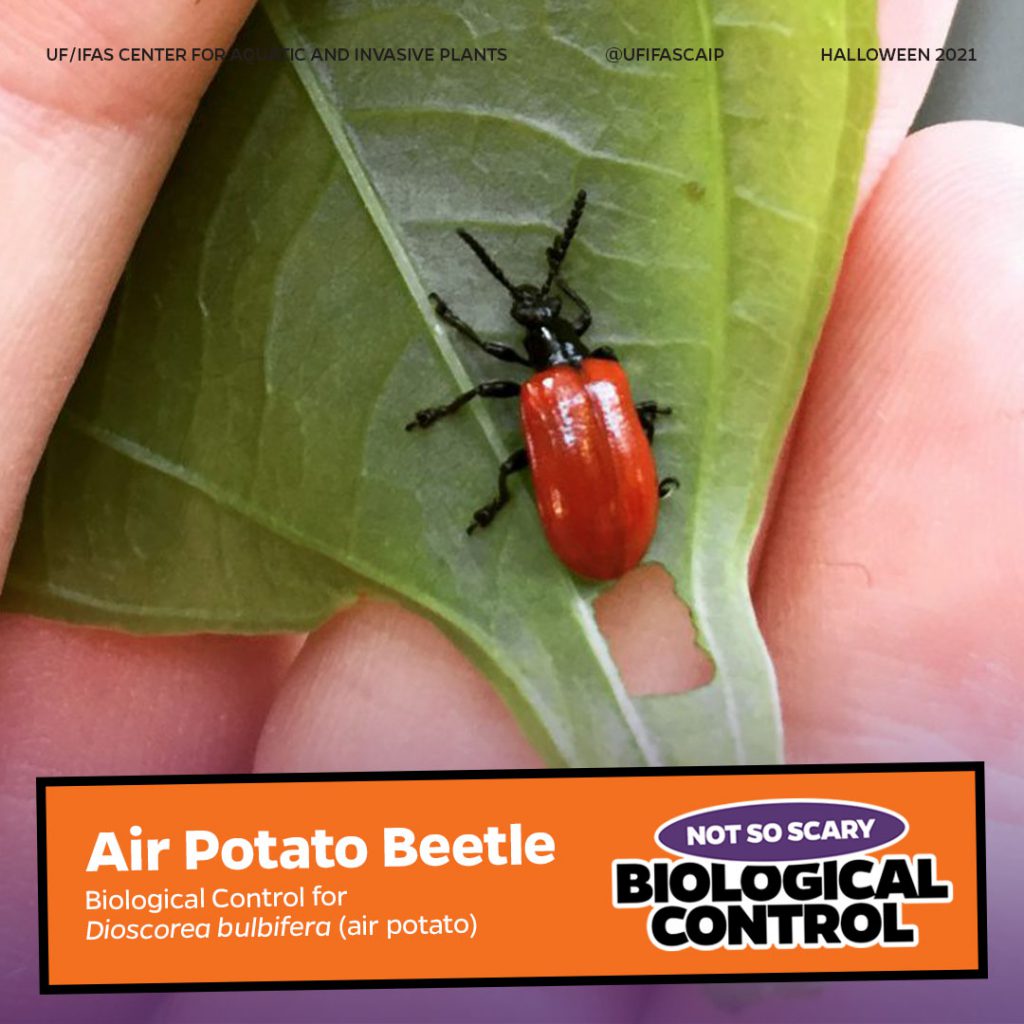 Not So Scary Biological Control Agents - UF/IFAS Center for Aquatic and ...