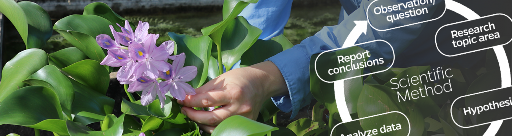 UF/IFAS Center for Aquatic and Invasive Plants - UF/IFAS Center for ...