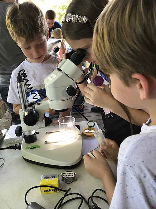 UF/IFAS CALS Graduate Students Inspire Children to Study Bugs with ...