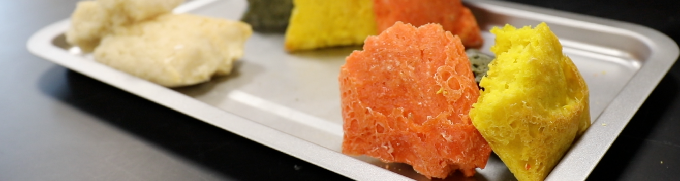 Space Bread: University of Florida student creates a winning recipe for ...